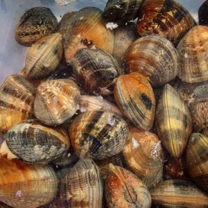 Moules frites | Muscheln mit Pommes – TheMaskedChef